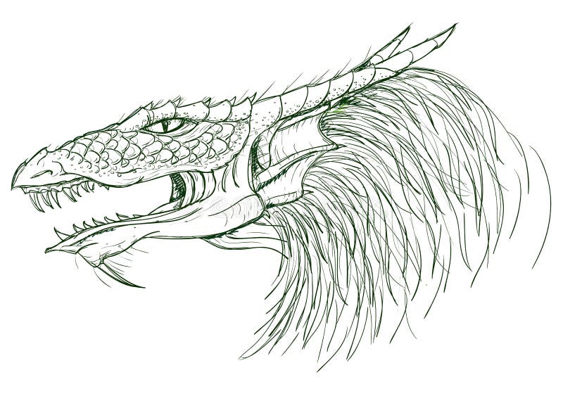 Dragon sketch stock vector. Illustration of fang, creature - 9121567