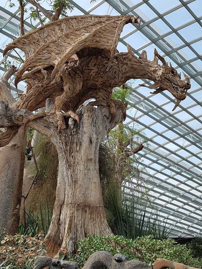 Dragon in tree, Singapore stock photo. Image of tree - 86367690