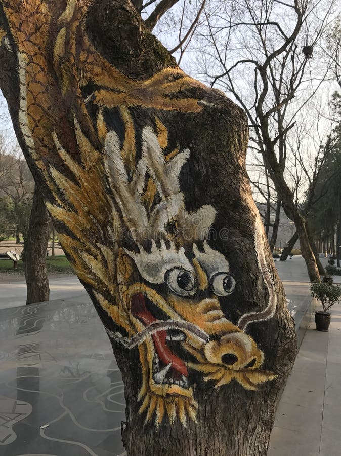 Dragon Tree editorial photography. Image of yellow, tree - 128945932