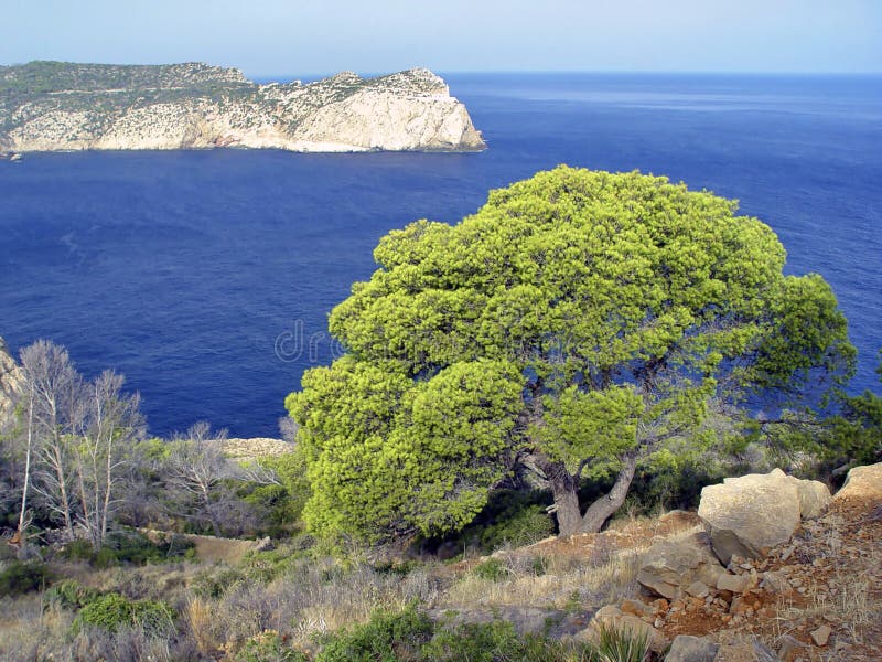 Dragonera Island, Mallorca, Spain Stock Photo - Image of cliff, emerald ...