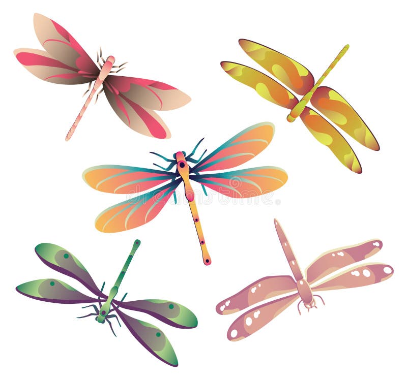 Pretty Dragonfly Clipart