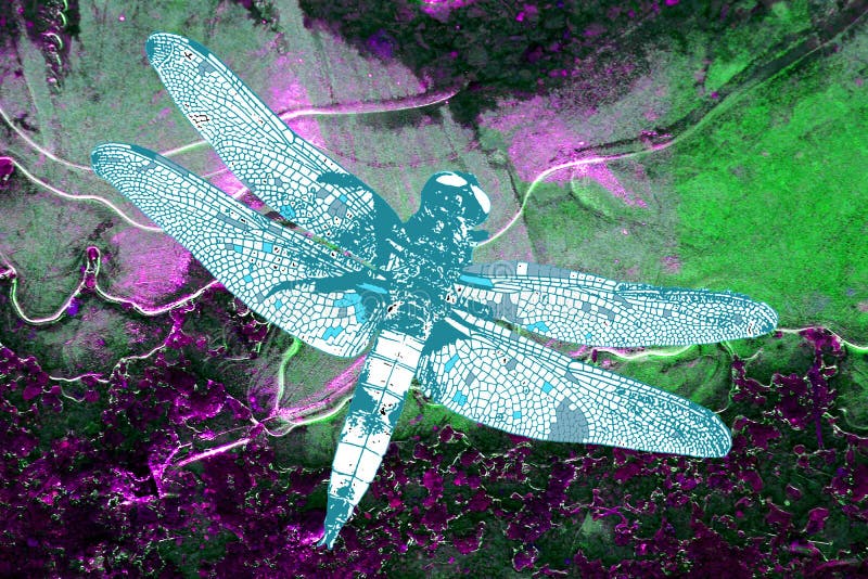 Dragonfly Abstract Modern Art Stock Photo - Image of abstract, graphic ...