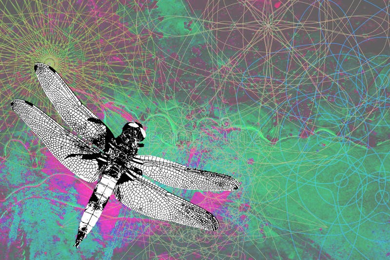 Dragonfly Abstract Modern Art Stock Image - Image of carving, lighting ...