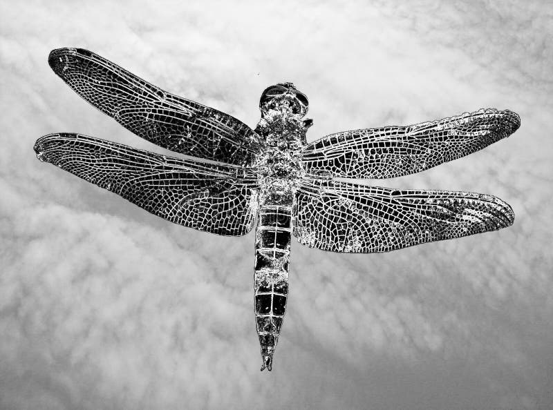 Dragonfly Abstract Modern Art Stock Image - Image of drawing, lighting ...
