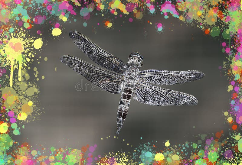 Dragonfly Abstract Modern Art Stock Image - Image of animal, graphic ...