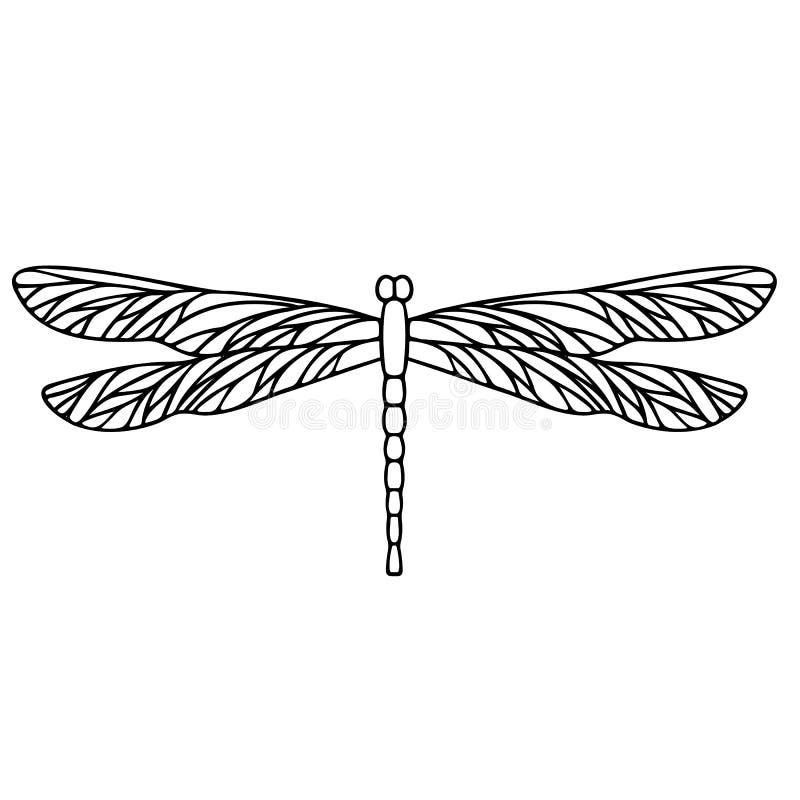 Dragonfly Outline Template