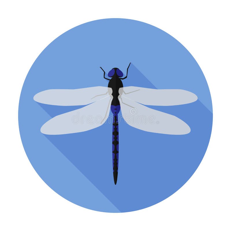 Dragonfly Icon in Cartoon Style Isolated on White Background. Insects ...