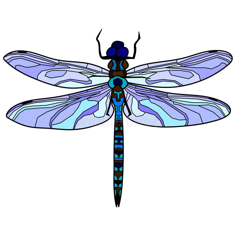 Dragonfly Drawing Stock Illustrations – 7,315 Dragonfly Drawing Stock ...