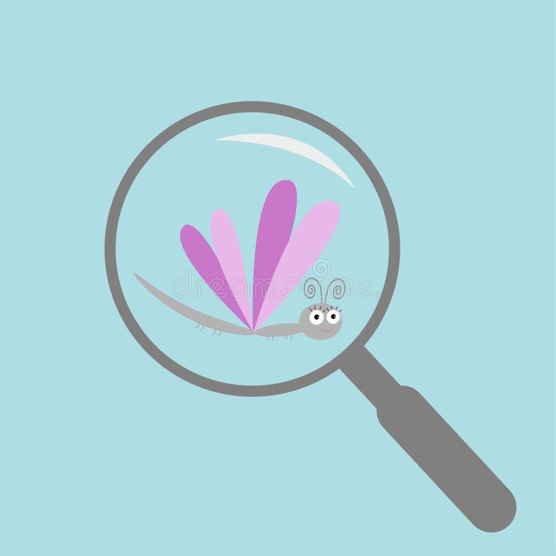 Insect in Magnifier.shield Bug Stock Vector - Illustration of european ...