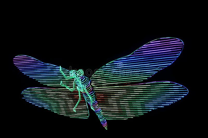 Dragonfly Lights stock image. Image of wing, screenshot - 337251093