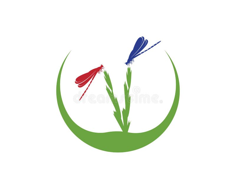 Dragonfly Logo Vector Template Stock Vector - Illustration of wing ...