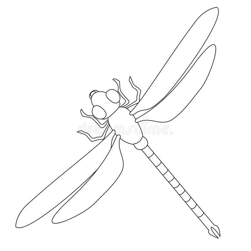 Dragonfly One Line Art. Insect Minimal Line Drawing Stock Vector ...