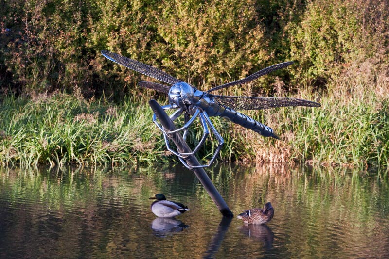 Dragonfly Statue in Water Surrounded by Ducks Stock Photo - Image of ...