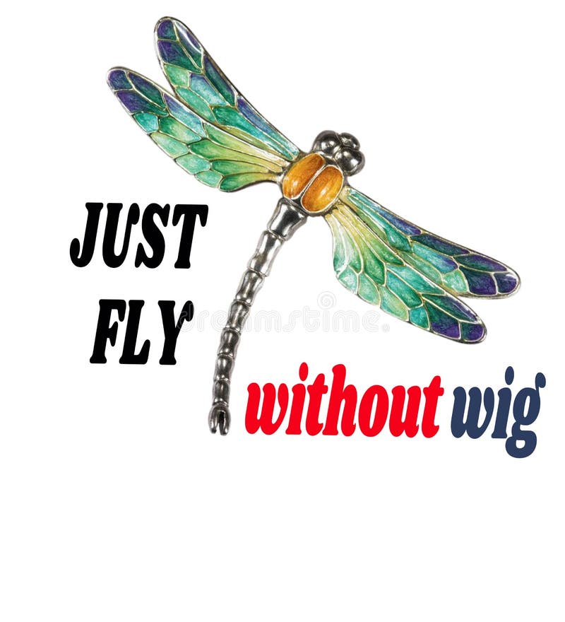 Dragonfly with Text Just Fly Stock Illustration - Illustration of ...
