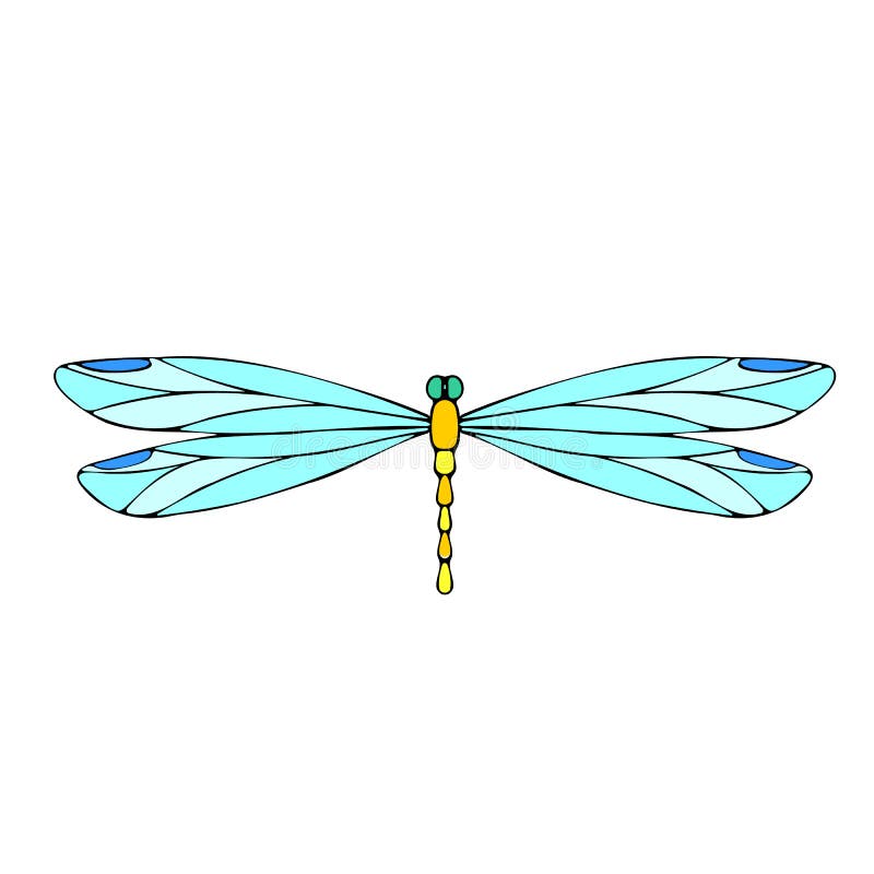 Dragonfly Vector Drawing. Insect Dragonfly Coloring Book. EPS 10 ...