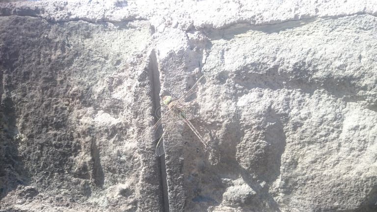 Dragonfly Formation Stock Photos - Free & Royalty-Free Stock Photos ...