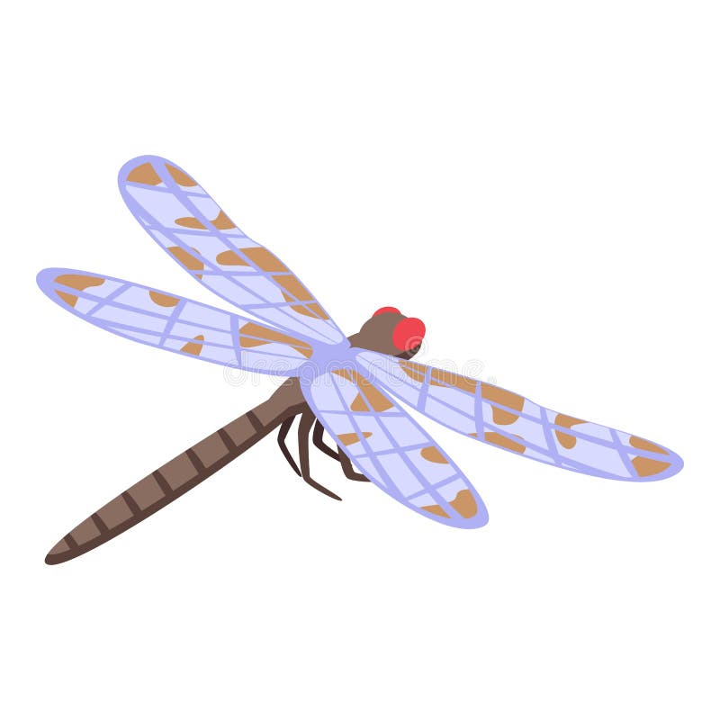 Dragonfly Wing Icon Isometric Vector. Animal Nature Stock Illustration ...