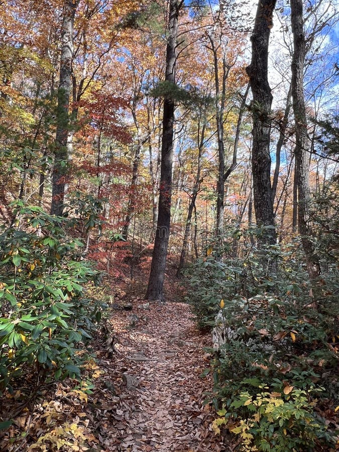 Dragons Tooth Trail in Virginia Stock Image - Image of jungle, october ...
