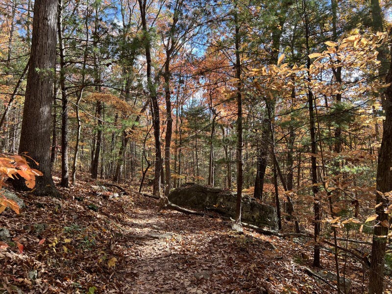 Dragons Tooth Trail in Virginia Stock Image - Image of 2023, wilderness ...