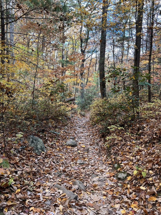 Dragons Tooth Trail in Virginia Stock Photo - Image of trail, woodland ...
