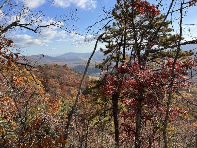 Dragons Tooth Trail in Virginia Stock Photo - Image of branch, soil ...