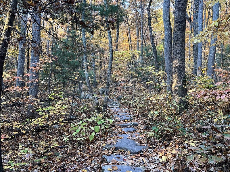 Dragons Tooth Trail in Virginia Stock Photo - Image of tooth, virginia ...