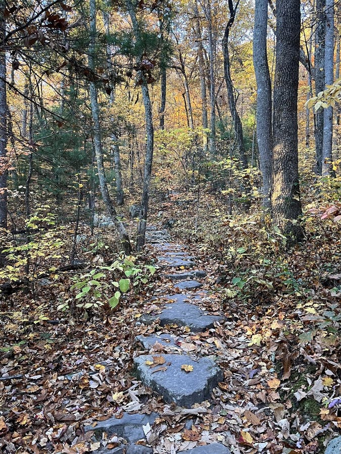 Dragons Tooth Trail in Virginia Stock Image - Image of pattern ...