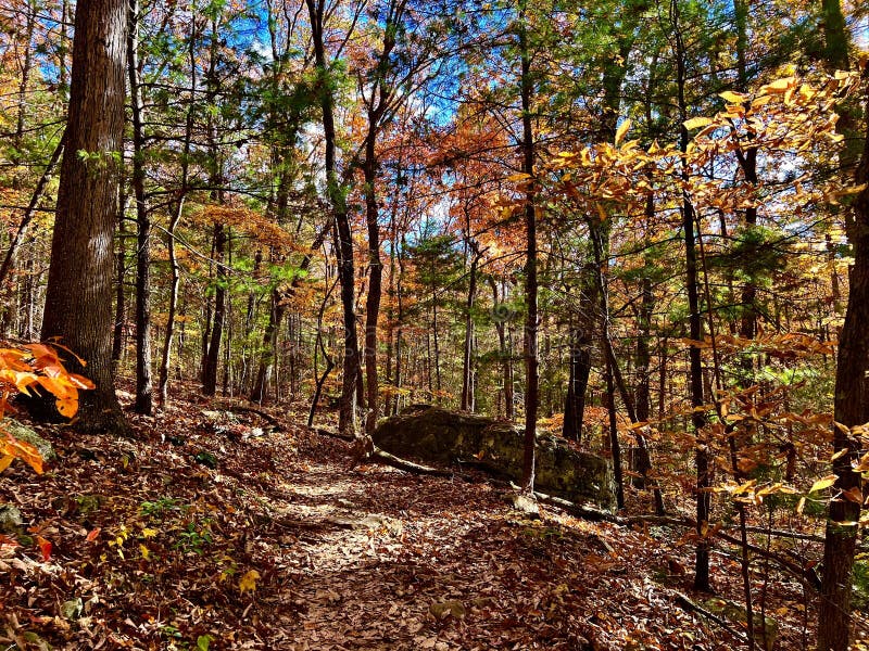 Dragons Tooth Trail in Virginia Stock Photo - Image of 2023, tooth ...