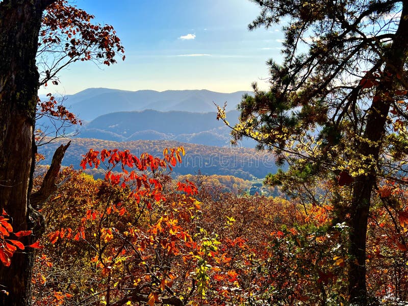 Dragons Tooth Trail in Virginia Stock Photo - Image of 2023, forest ...