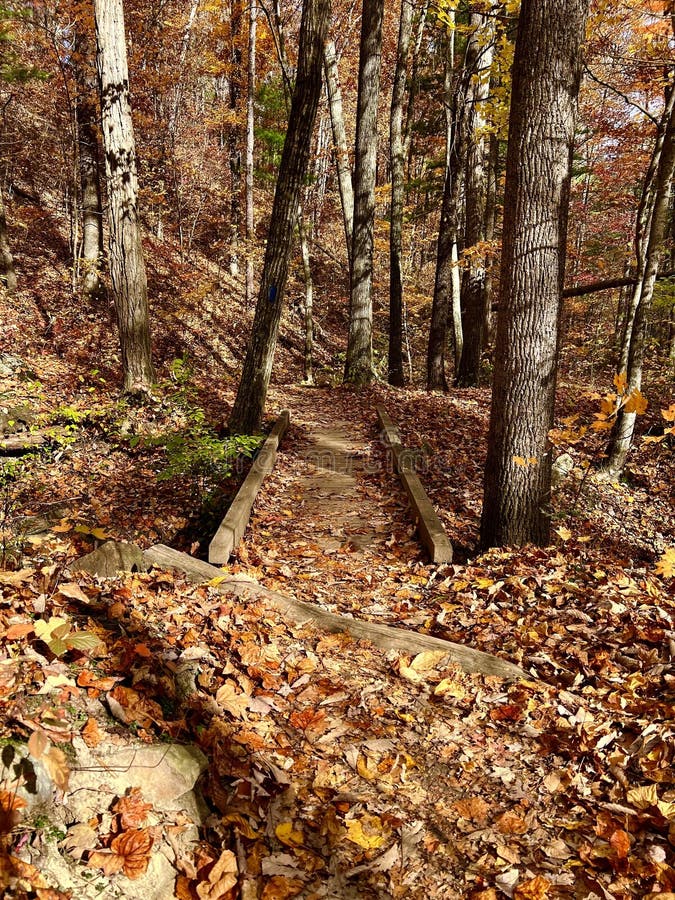 Dragons Tooth Trail in Virginia Stock Image - Image of deciduous ...