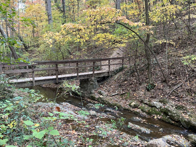 Dragons Tooth Trail in Virginia Stock Photo - Image of leaf, wilderness ...