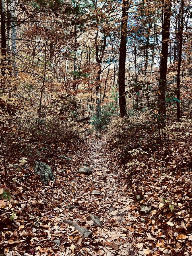 Dragons Tooth Trail in Virginia Stock Image - Image of october ...