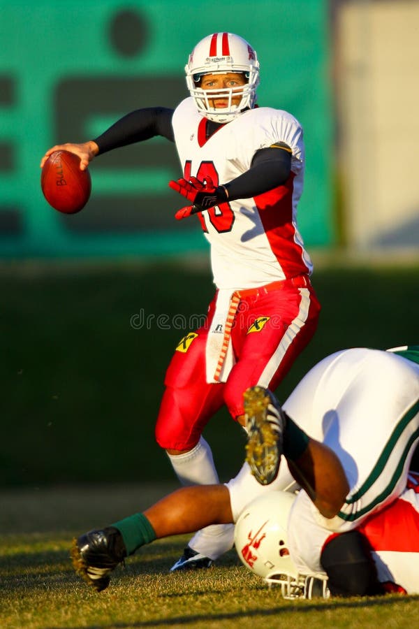 Dragons vs. Bulls editorial photography. Image of bulls - 15655582