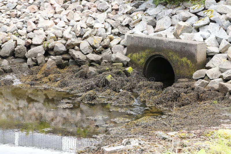 Drain pipe, sewer stock photo. Image of algae, lake, ecology - 78025422