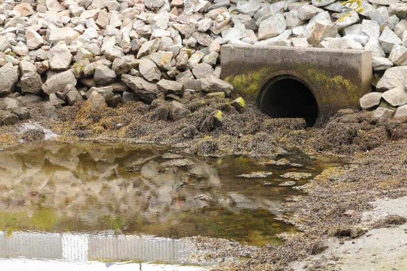 Boy in a Pipe - Sewer Drainage Drain Stock Photo - Image of drainage ...