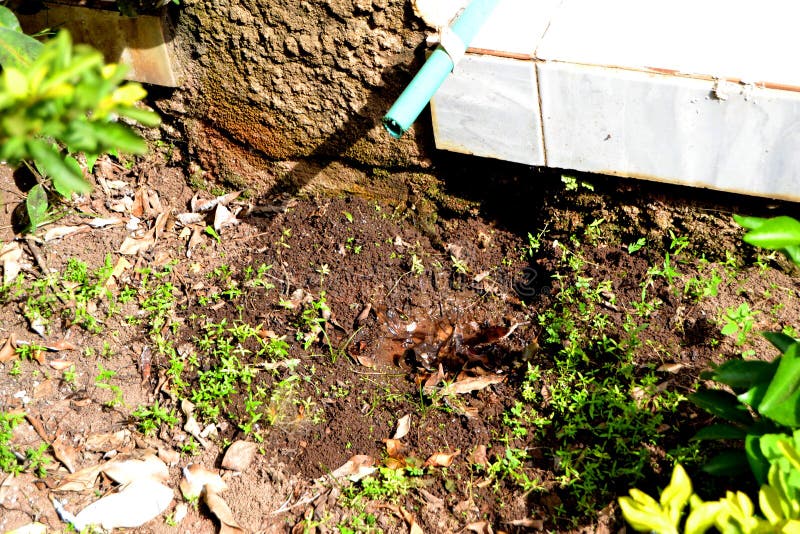 Drain pipe stock image. Image of evacuation, effluents - 87364207