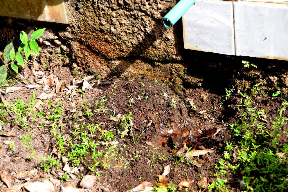 Drain pipe stock image. Image of passing, drain, indicates - 87364311