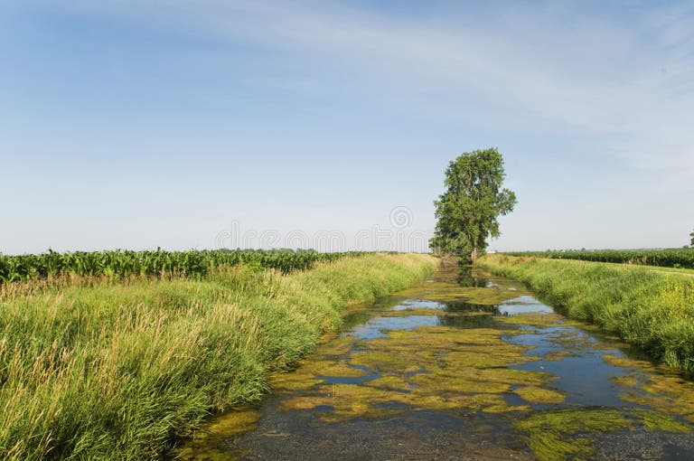 Drainage ditch stock photo. Image of water, ditch, farm - 10047032