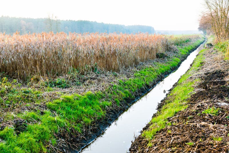 Drainage Ditch in Autumn Scenery Stock Image - Image of channel, rushes ...