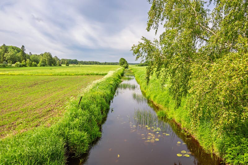 Drainage Ditch by Field in the Countryside Stock Photo - Image of rural ...