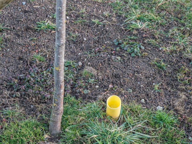 Drainage Pipe at the Tree Planting Stock Photo - Image of aeration ...