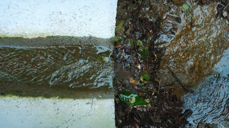 Drainage System in the Forest. Water Flowing through the Channel ...