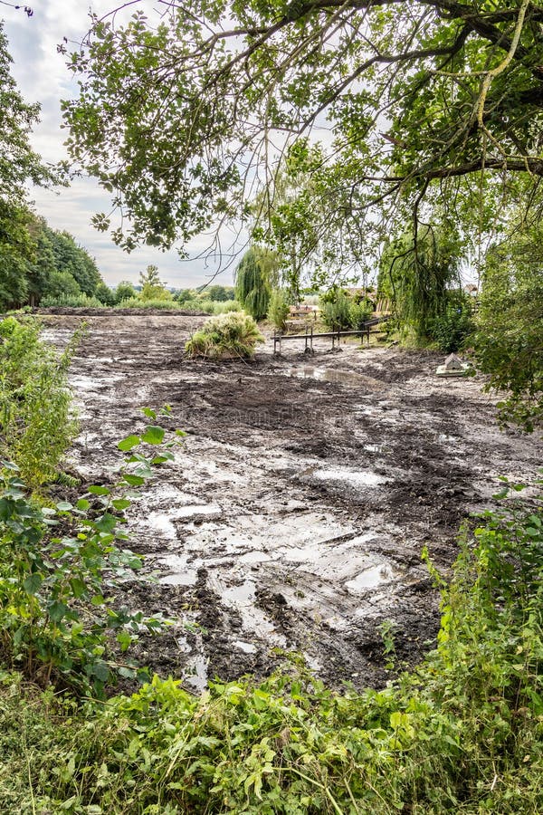 Drained Artificial Lake for Silt Removal Stock Image - Image of forest ...