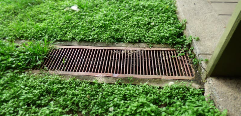Draining Hole Surrounded by Grass Stock Photo - Image of raining ...
