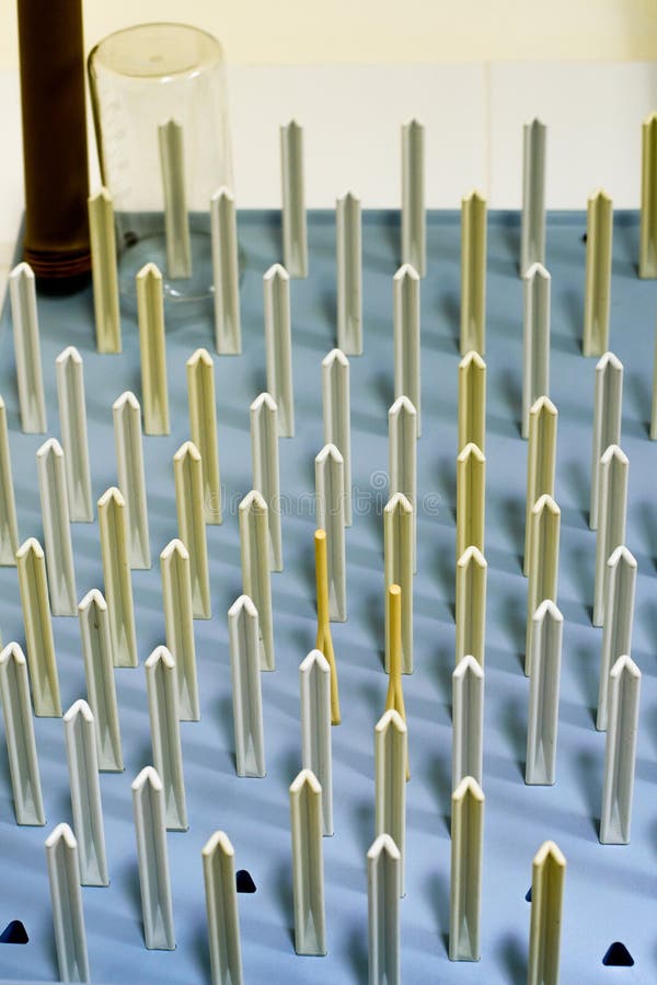 Draining Rack. Glass Inverted on Wall Dryer in a Science Laboratory ...