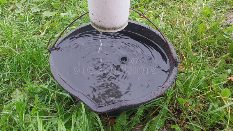 Draining Rainwater from a Drain into a Bucket Stock Video - Video of ...