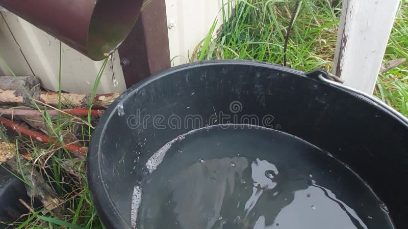 Draining Rainwater from a Drain into a Bucket Stock Footage - Video of ...