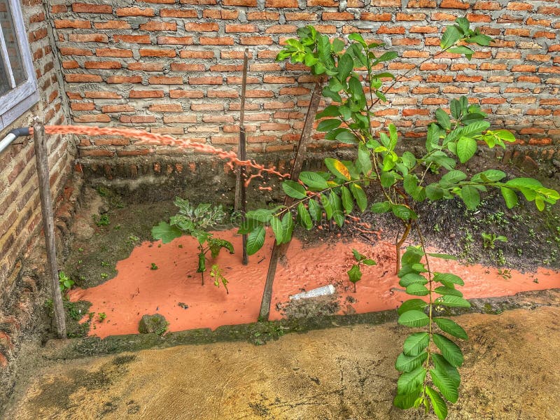 Draining Red Dirty Well Water Stock Image - Image of flower, rock ...
