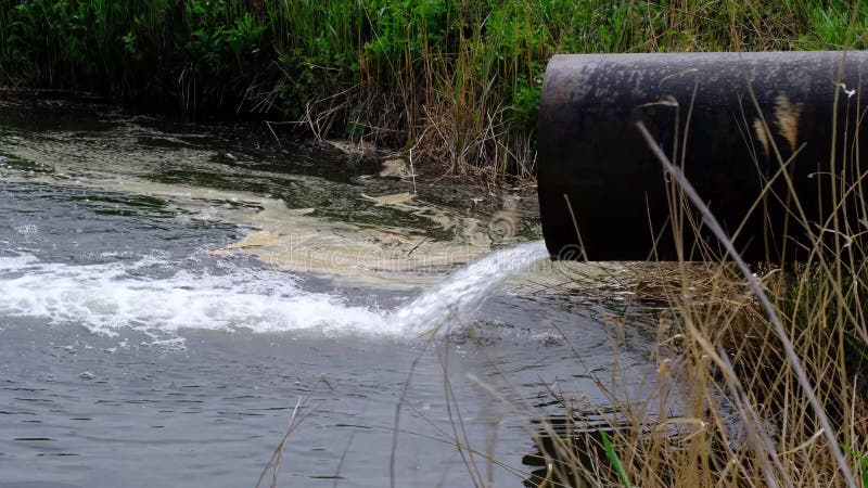 Draining Sewage from Pipe into River, Pollution Rivers and Ecology ...