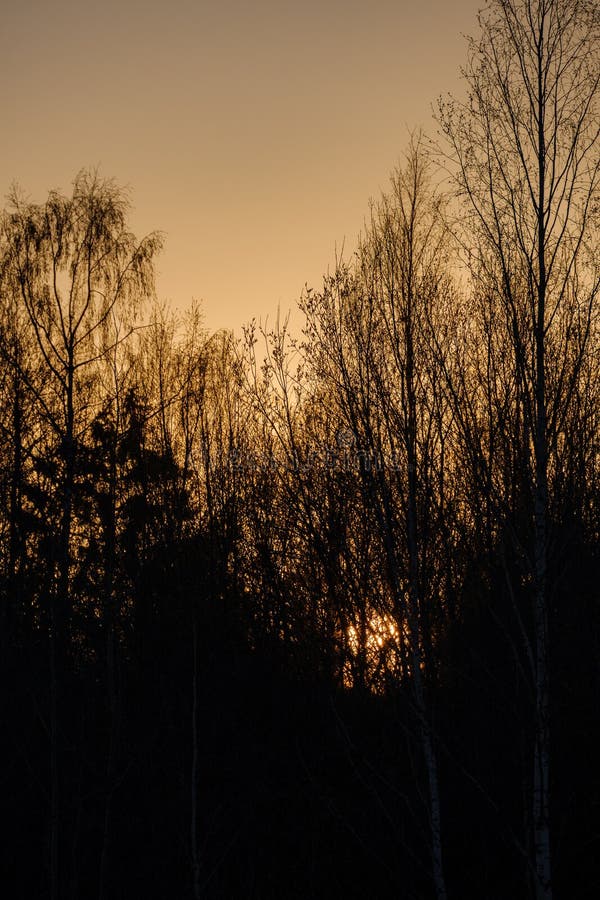 Dramatatic Red Dark Sunset Over the Fields and Cities Stock Image ...